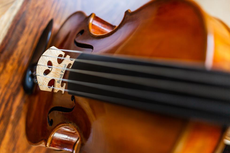 The Strad - Photo gallery: the Bursik ‘Milanolo’ five-string violin ...